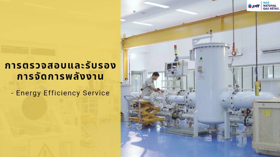 การทดสอบระบบท่อใต้ดิน (CIPS & DCVG & PIPE LOCATOR) - GastalkTH